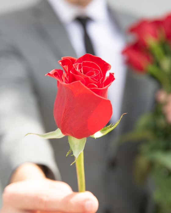 4 Easy DIY Botanical-Themed Halloween Costume Ideas - In Bloom Florist Blog