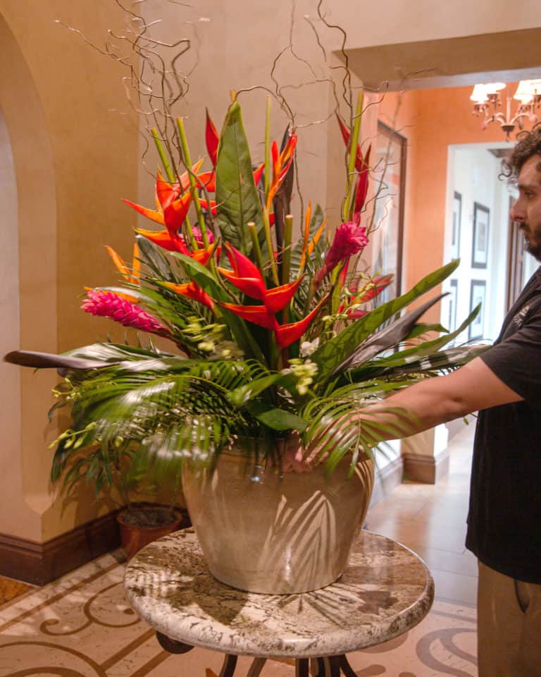 Corporate Services: Weekly Floral Service & Interior Plantscaping - In ...