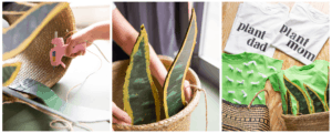 3 DIY Botanical-Themed Halloween Costumes - In Bloom Florist Blog