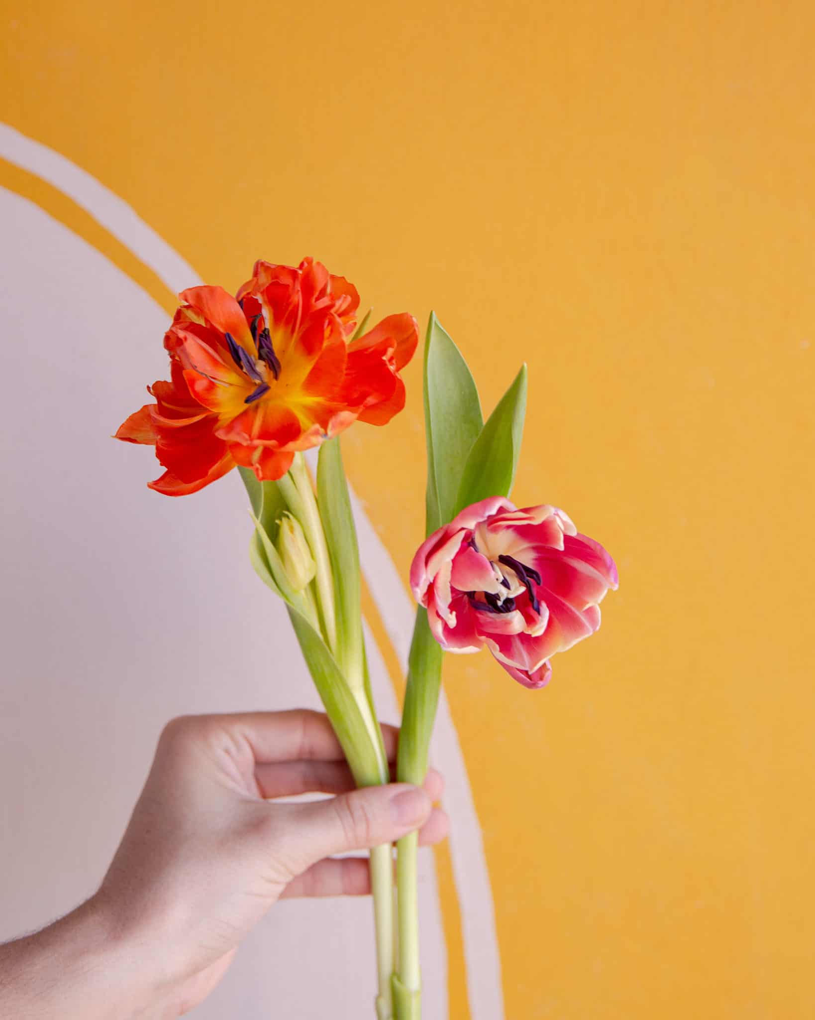 Spring Flower Facts - In Bloom Florist Blog