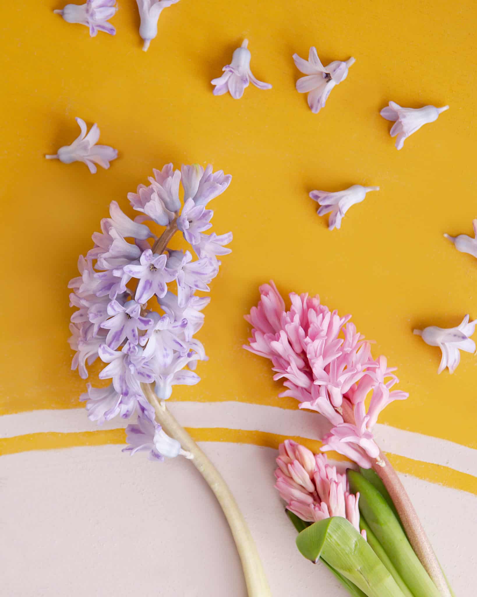 Spring Flower Facts - In Bloom Florist Blog