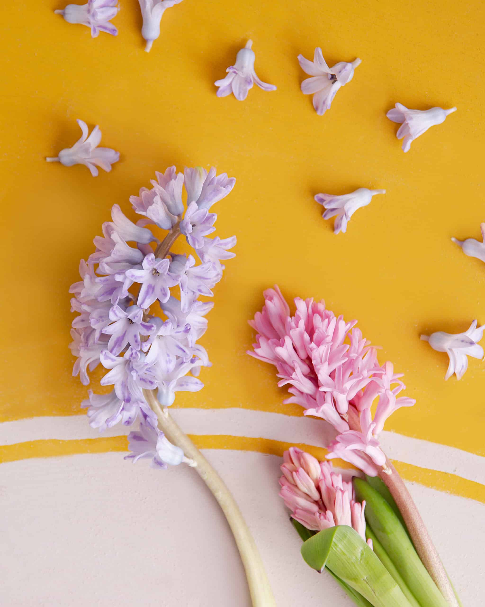 Spring Flower Facts - In Bloom Florist Blog