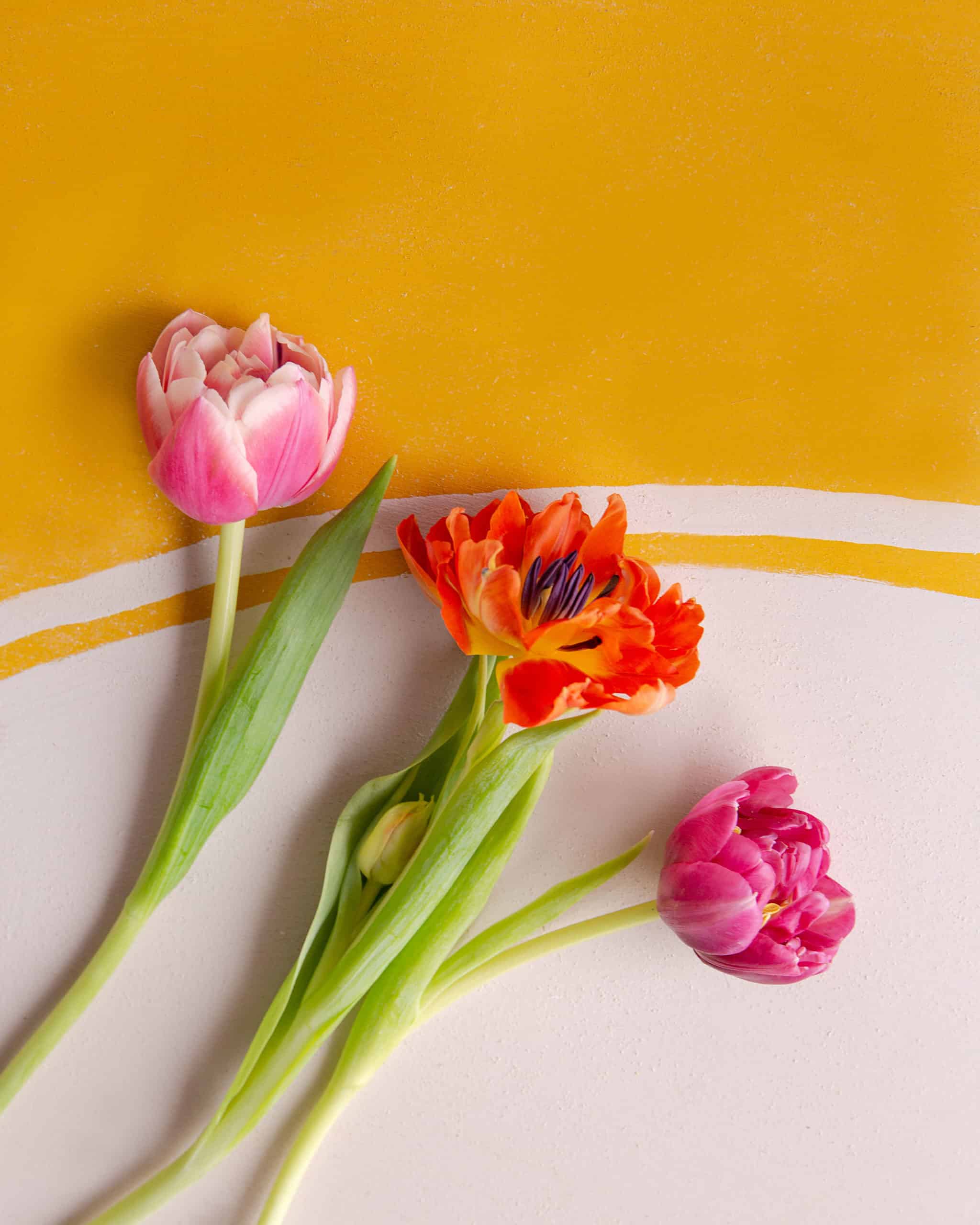 Spring Flower Facts - In Bloom Florist Blog