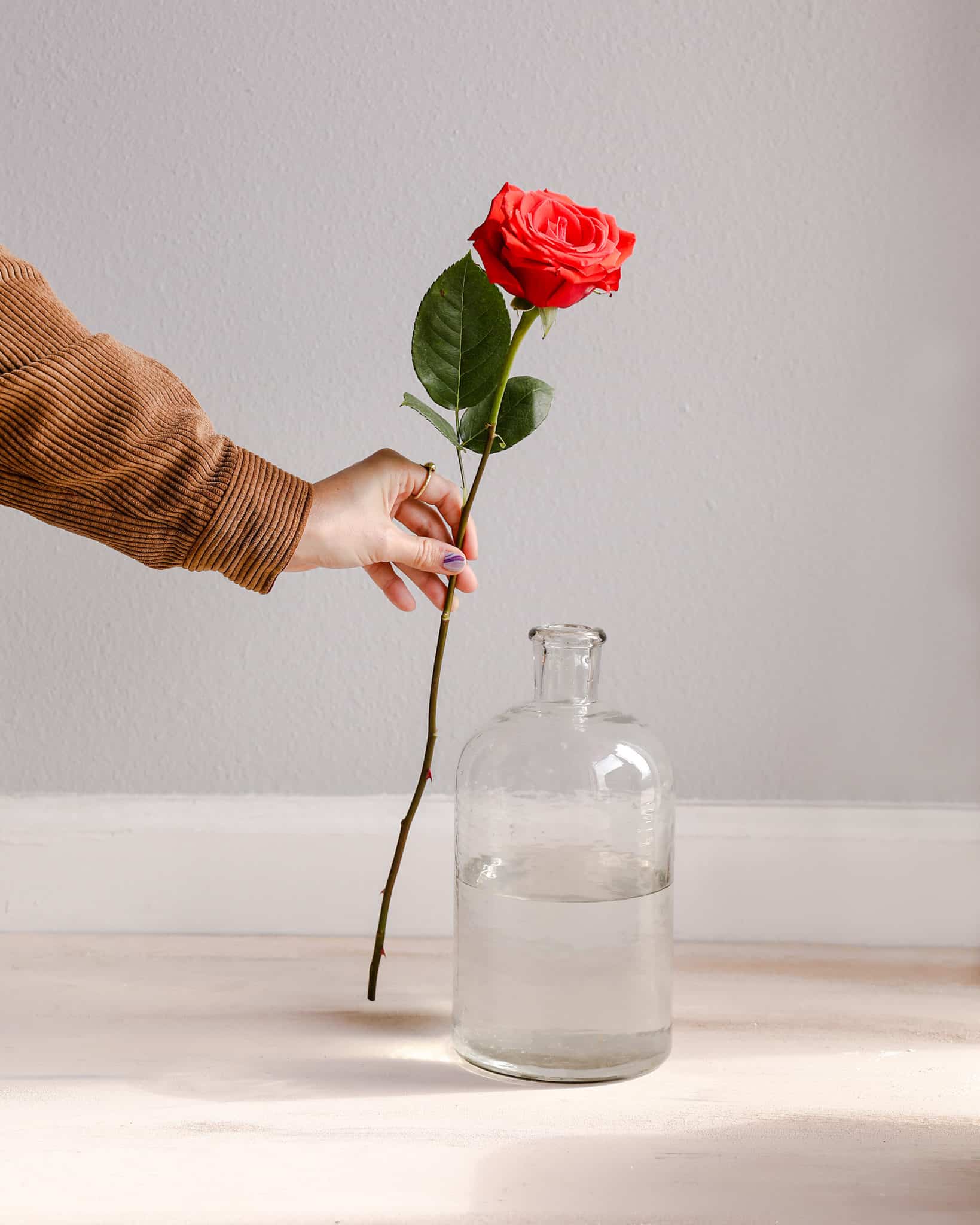 February Flower of the Month: The Rose - In Bloom Florist Blog