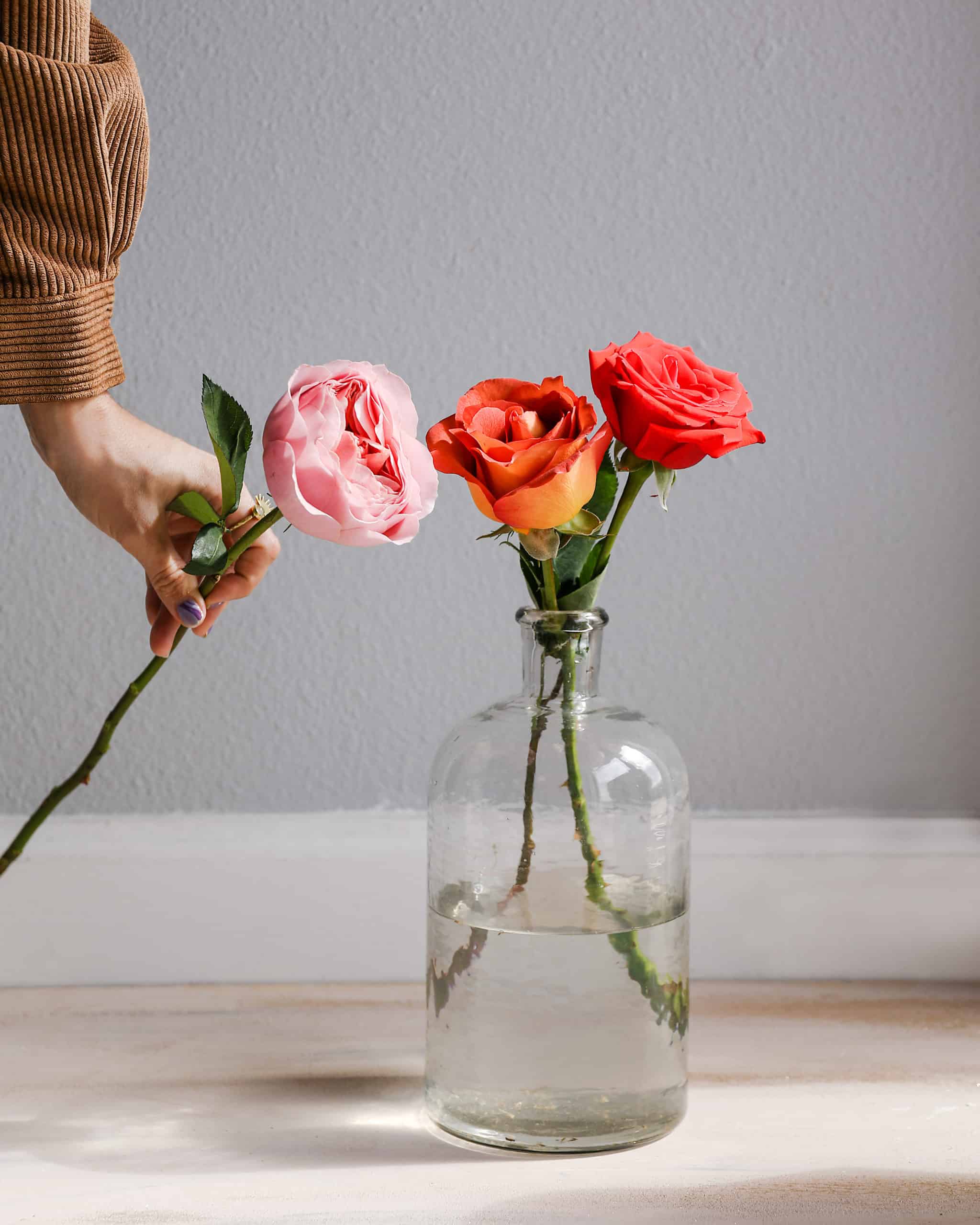 February Flower of the Month: The Rose - In Bloom Florist Blog