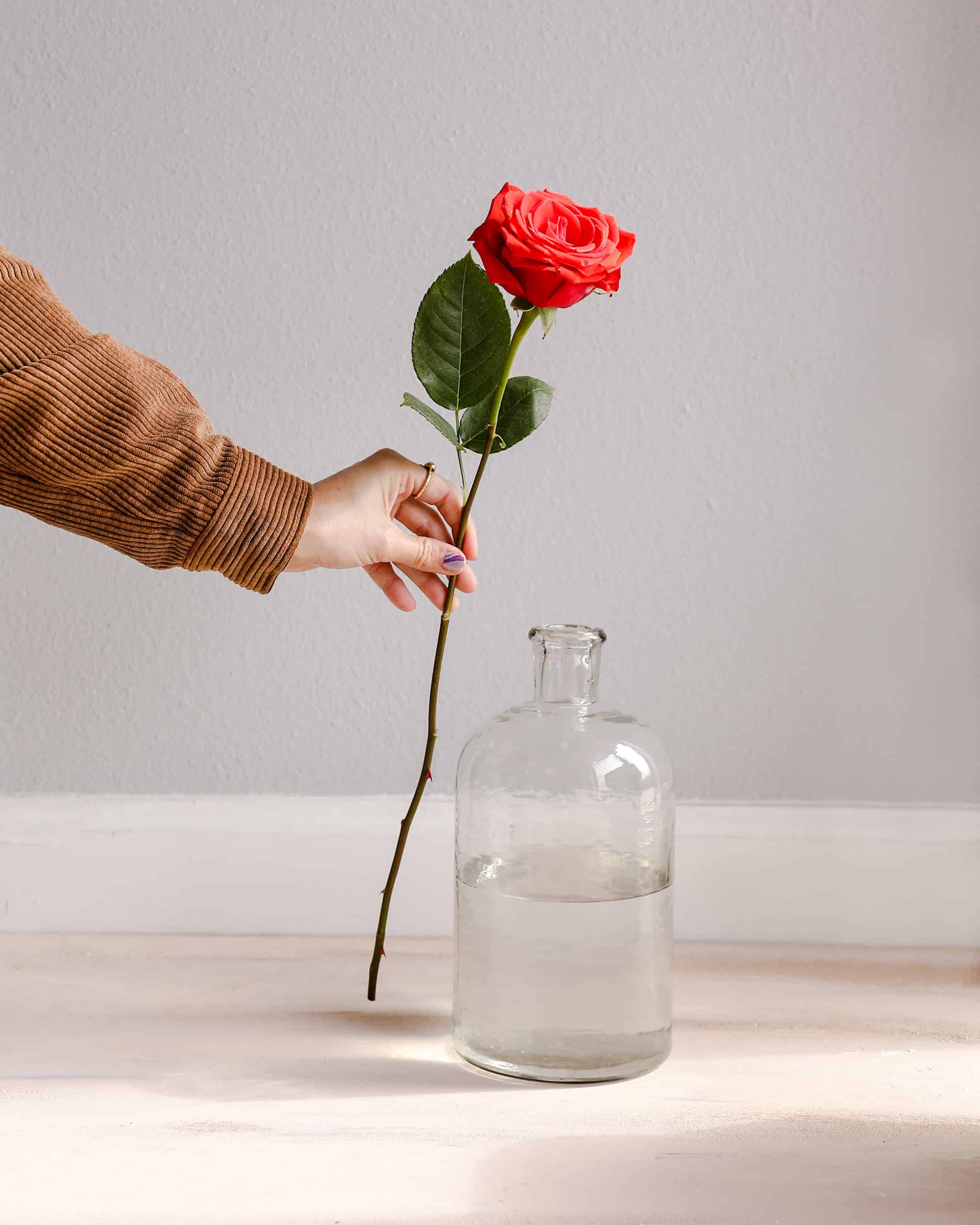 February Flower of the Month: The Rose - In Bloom Florist Blog