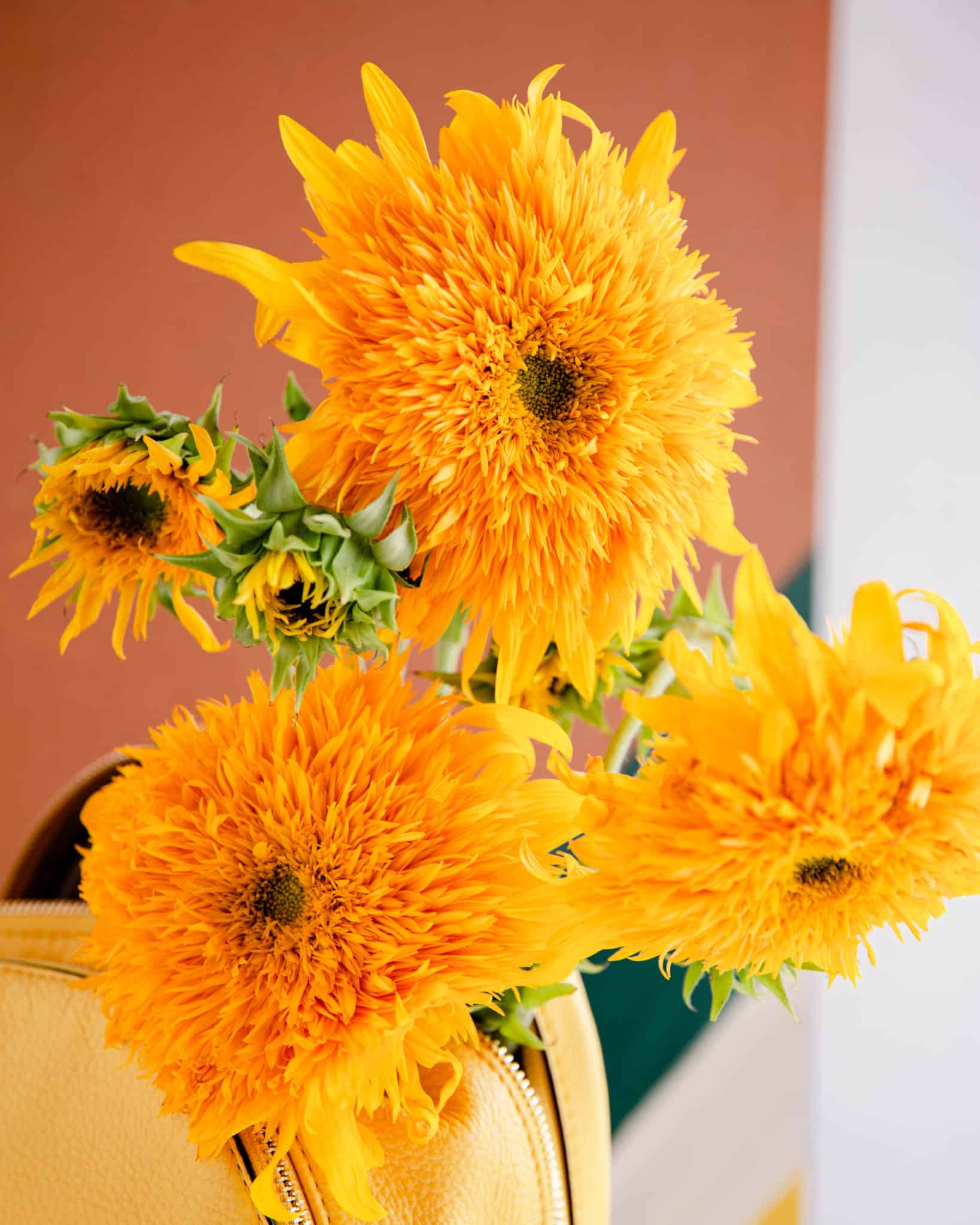 May Flower of the Month: Sunflowers - In Bloom Florist Blog