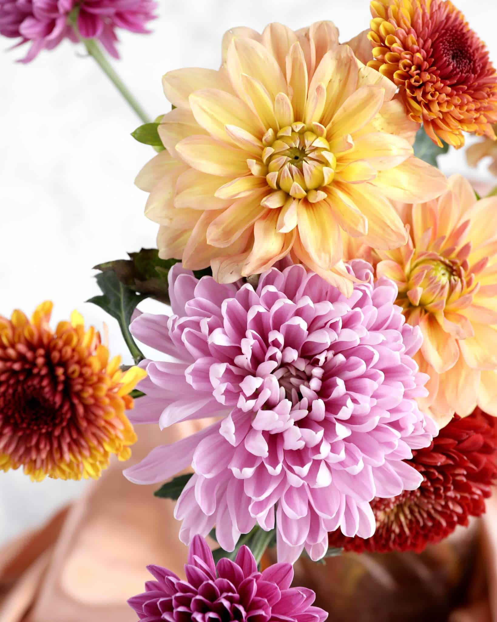 October Flower of the Month: Chrysanthemums - In Bloom Florist Blog