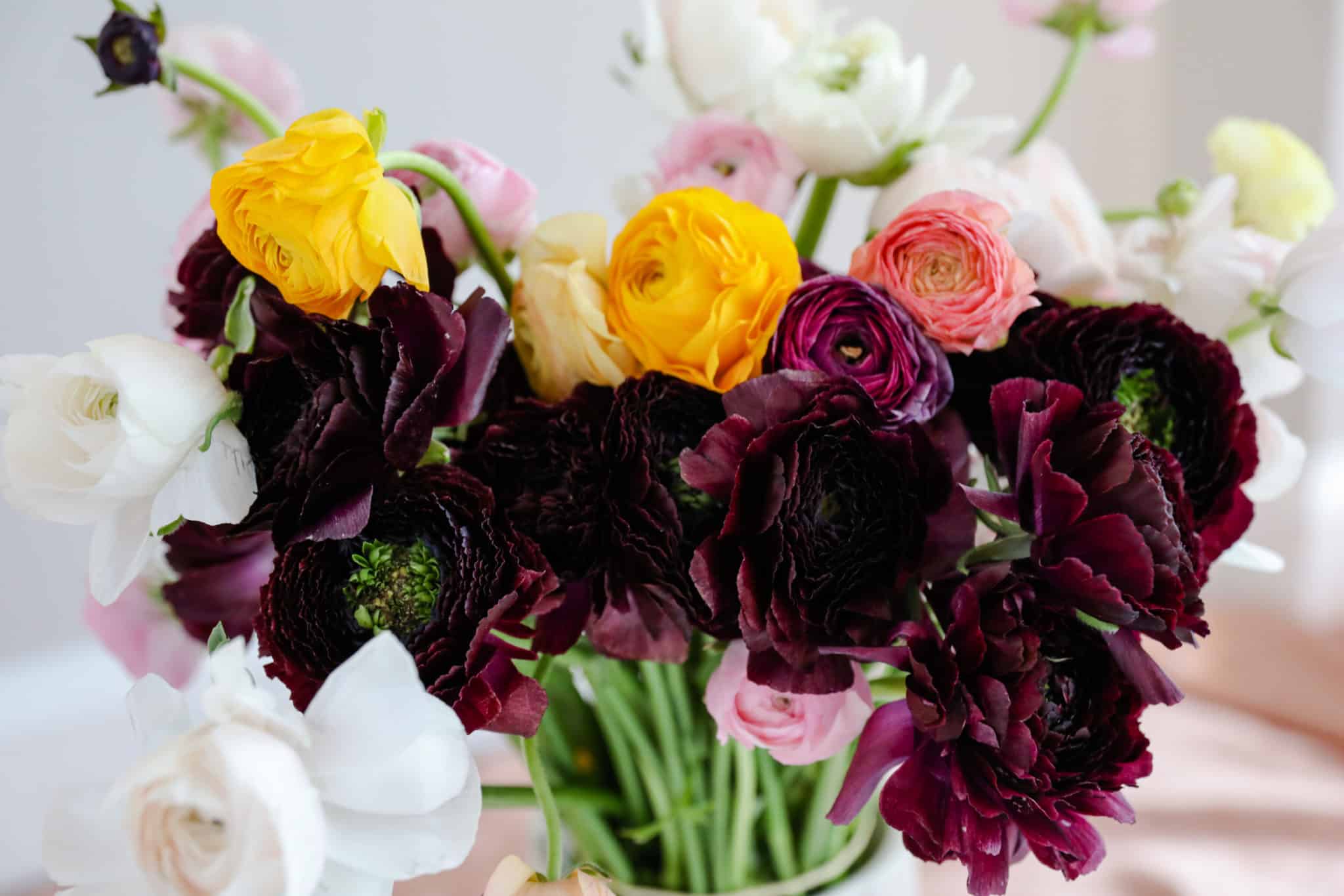 January Flower of the Month: Ranunculus | In Bloom Florist Blog - In ...