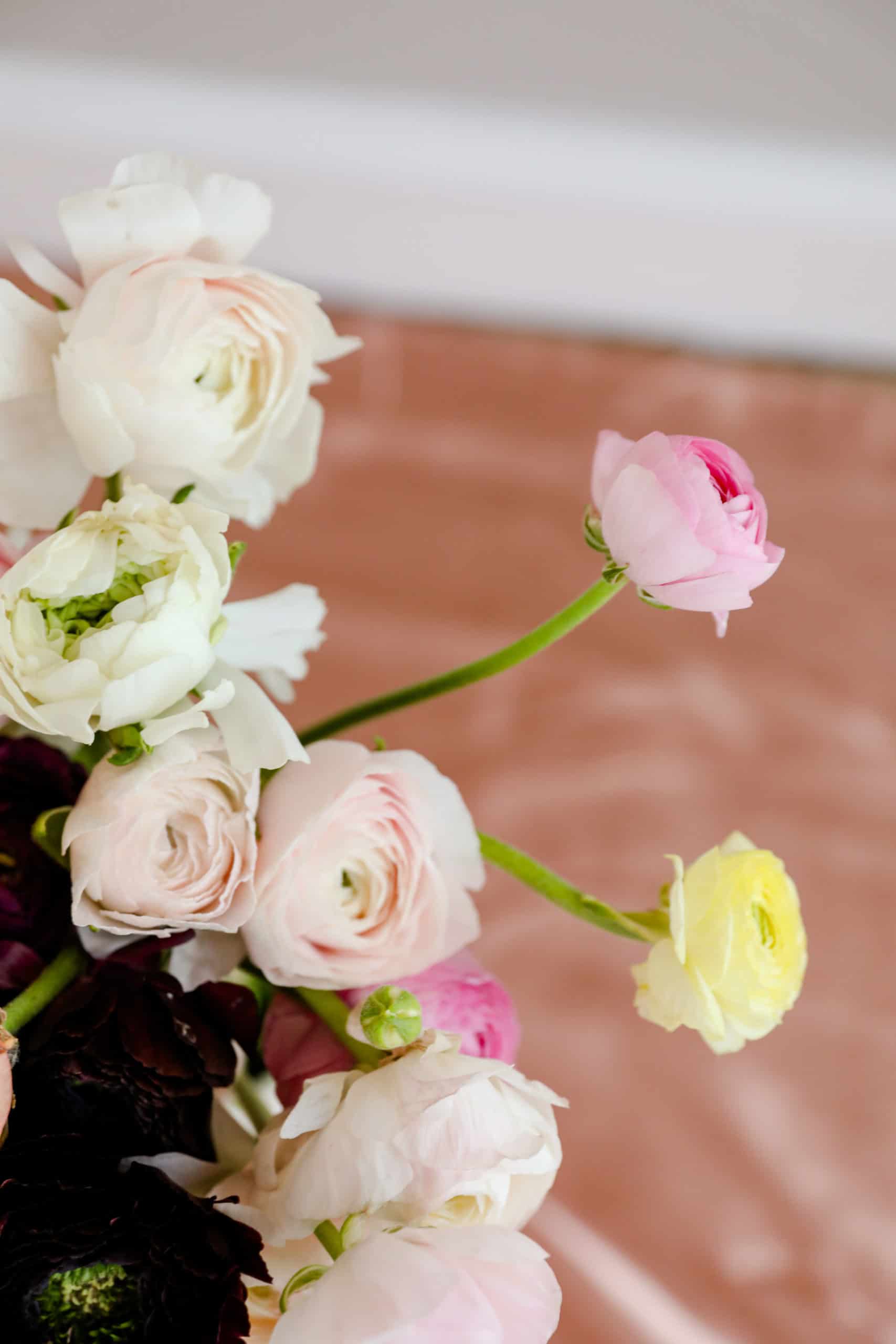 January Flower of the Month: Ranunculus | In Bloom Florist Blog - In ...