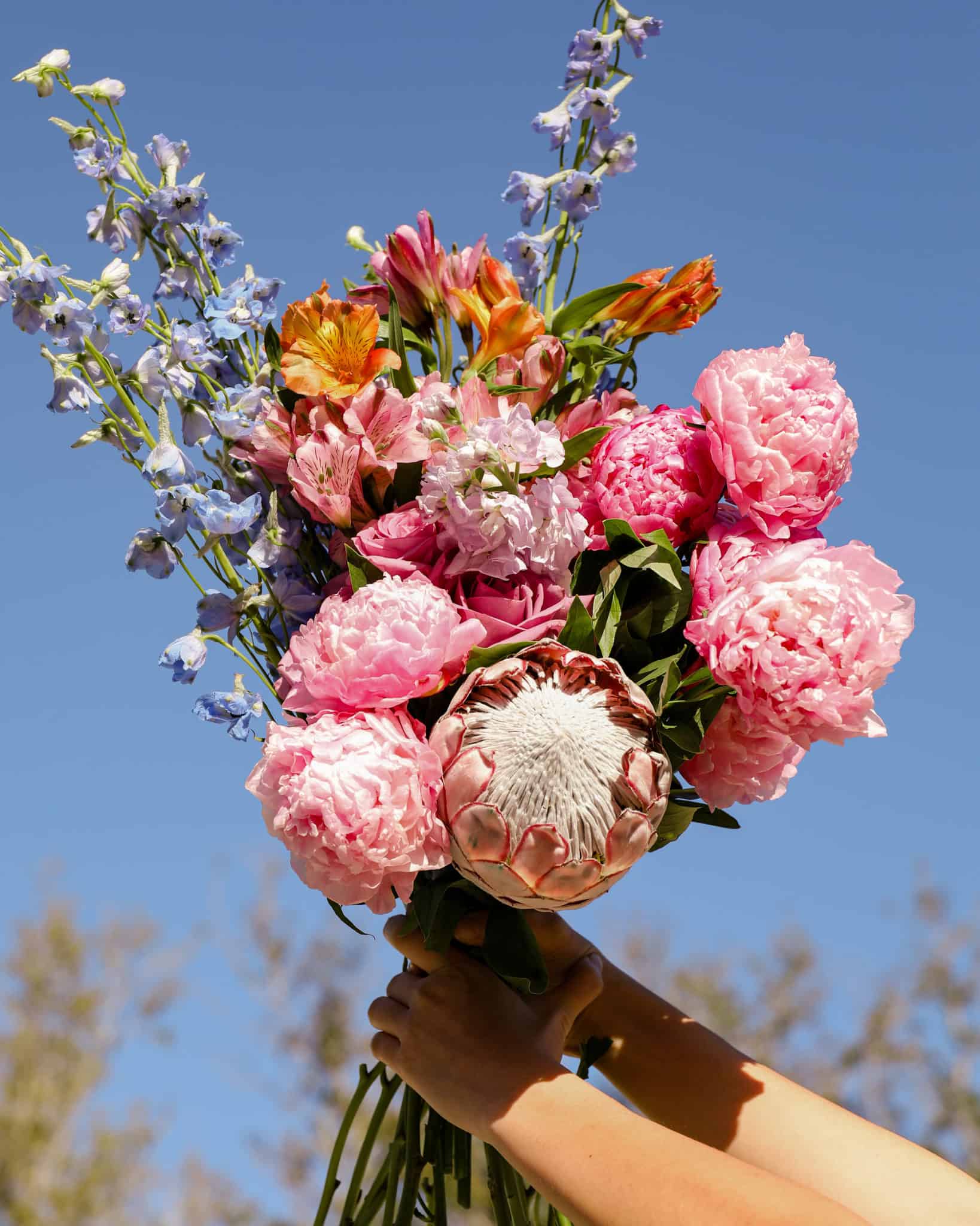 March Flower of the Month: Peonies | In Bloom Florist Blog - In Bloom ...