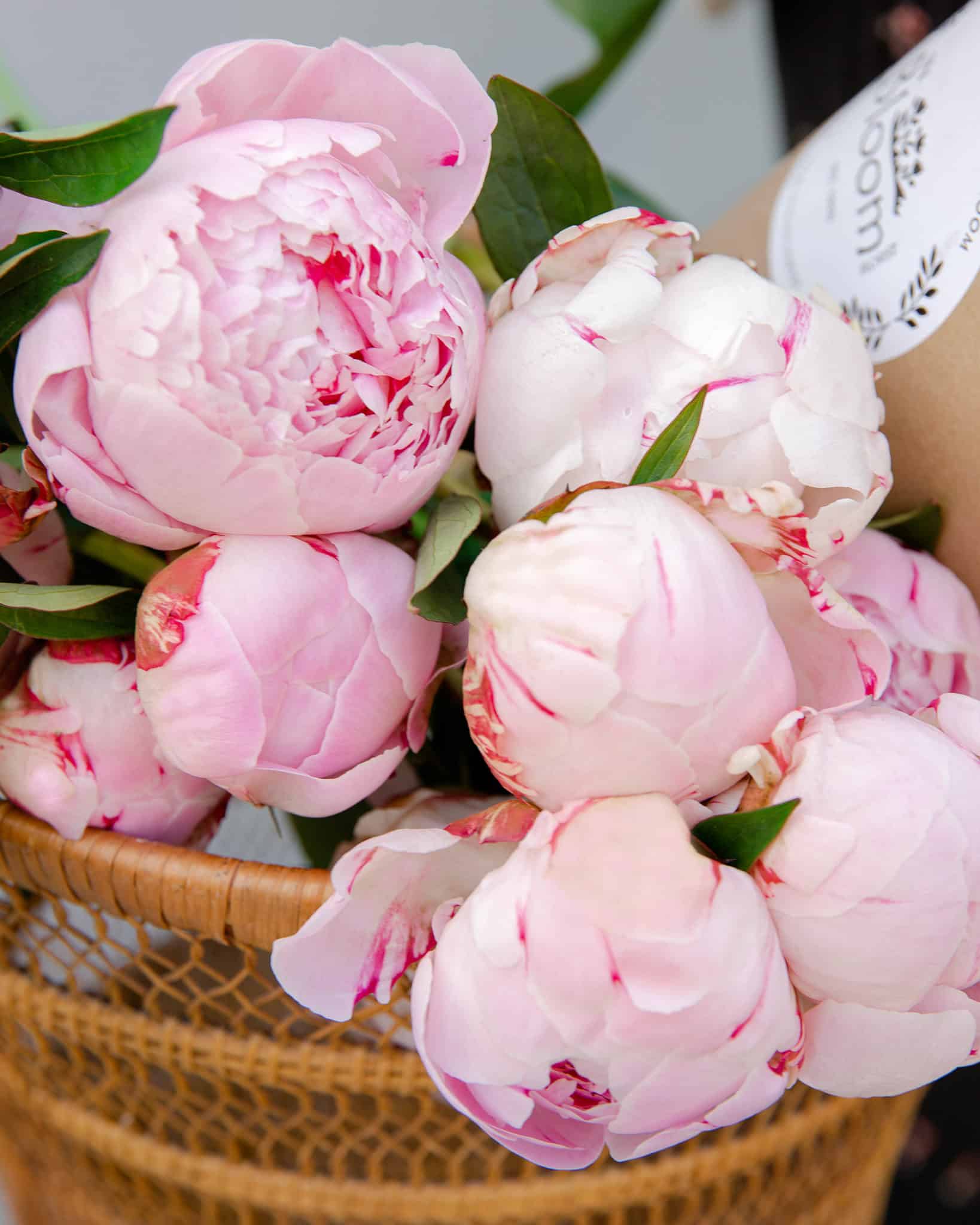 March Flower of the Month: Peonies | In Bloom Florist Blog - In Bloom ...