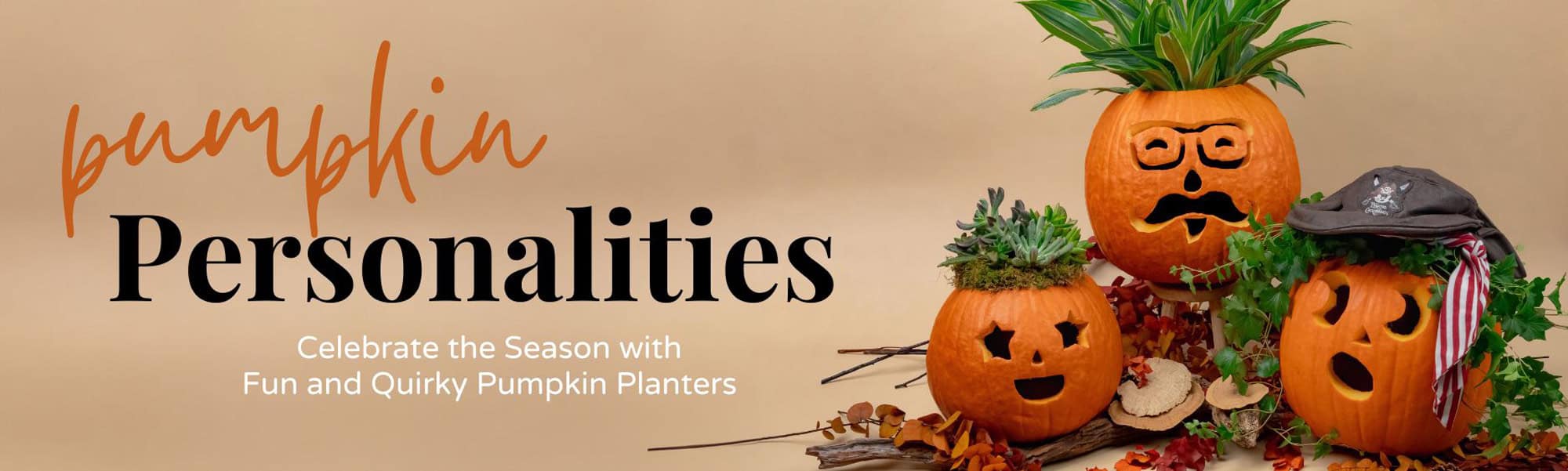 Pumpkin Personalities: How to Create Carved Pumpkins with Wild and ...