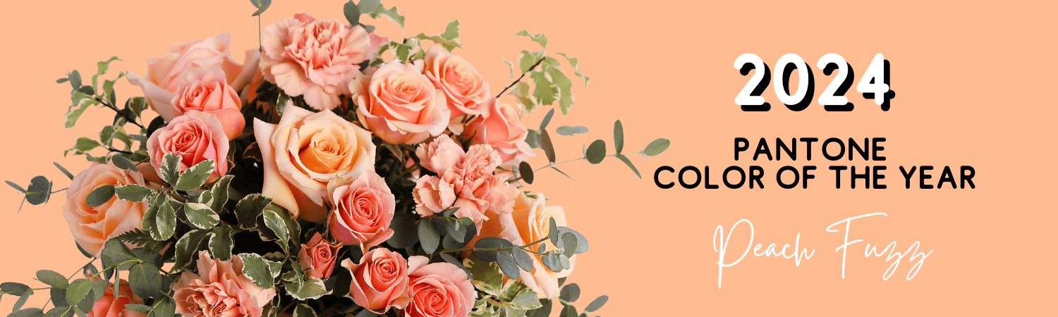 2024 Pantone Color of the Year: Peach Fuzz | In Bloom Florist Blog - In ...